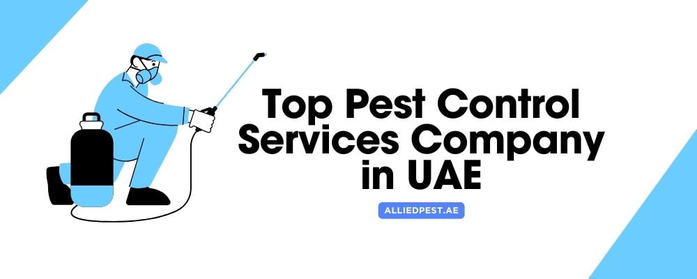 Office Pest Control Dubai: Essential Protection for Business Spaces