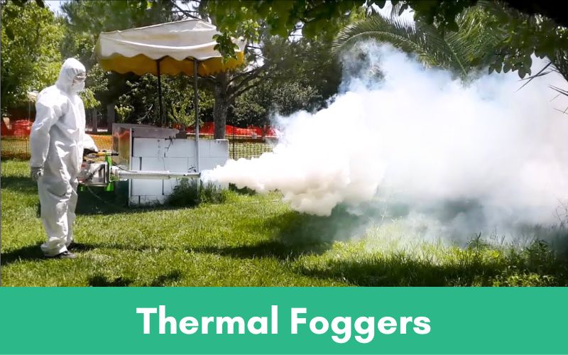 Pest-Free Gardens in Dubai: Effective Landscaping Tips | Allied Pest