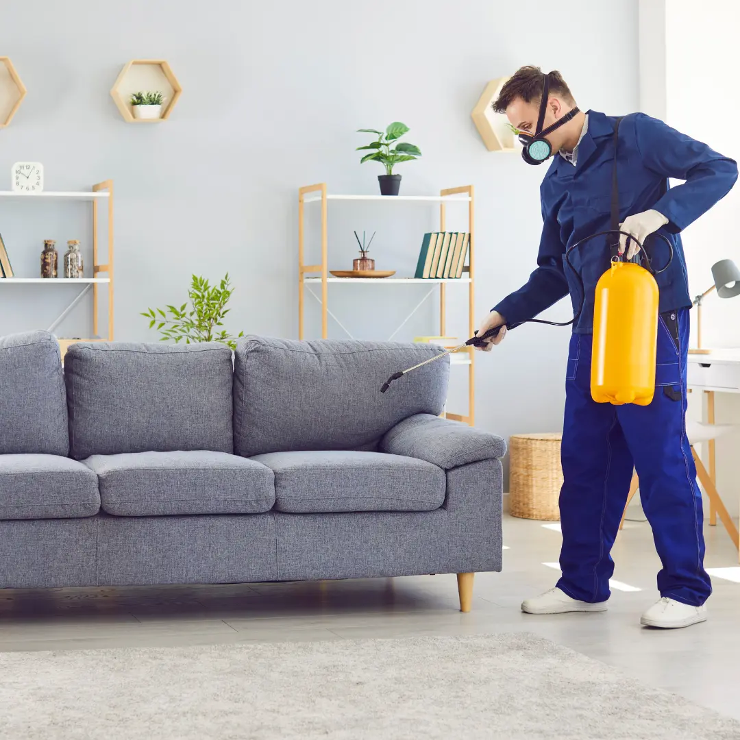 Villa Living Without Vermin: Complete Pest Management Guide